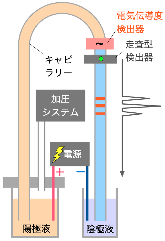 SCIEF装置 | 製品とサービス | エースバイオアナリシス株式会社