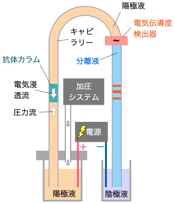 SCIEF装置の原理 | エースバイオアナリシス株式会社